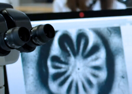 Peau Polyester - Brianza Plastica